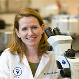 Protecting Dogs From Tick-Borne Infections