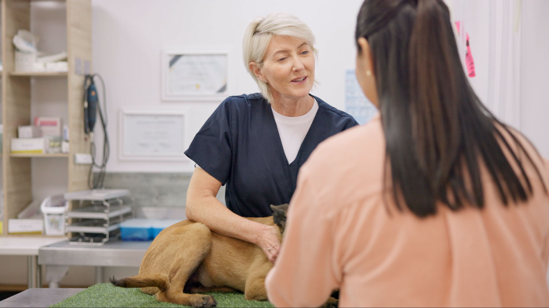 Veterinary Continuing Education (CE)